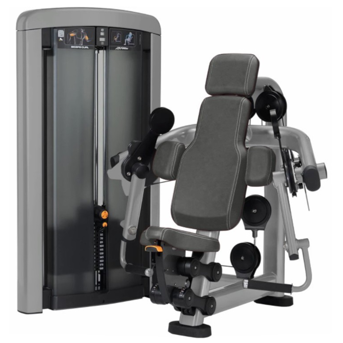 Life Fitness Insignia Series Biceps Curl | Fitness For Life Puerto Rico