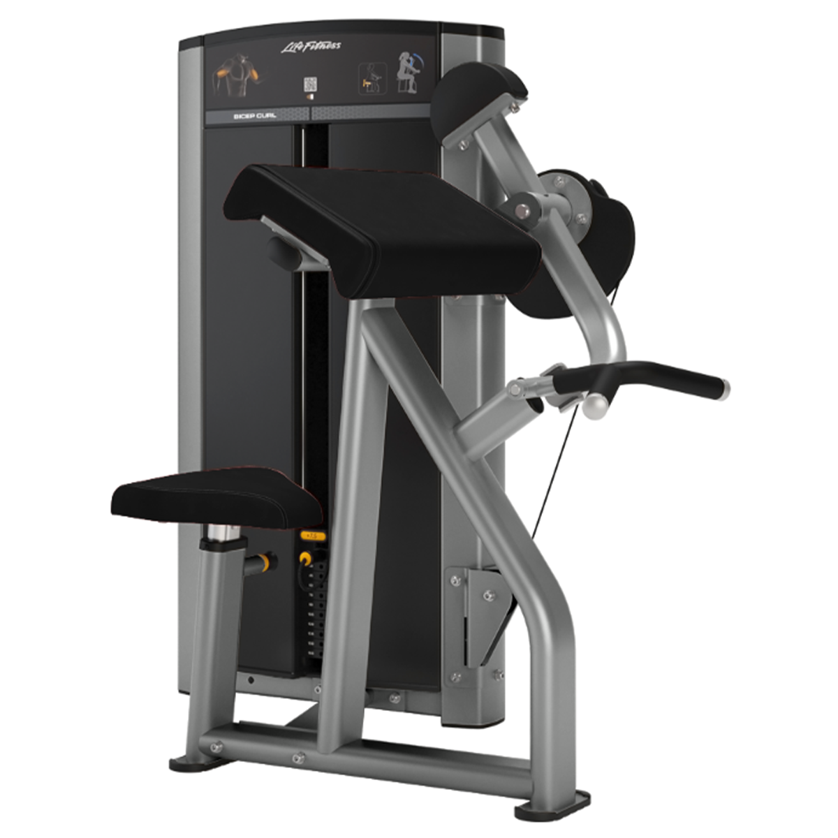 Life Fitness AXIOM Series Biceps Curl | Fitness For Life Puerto Rico